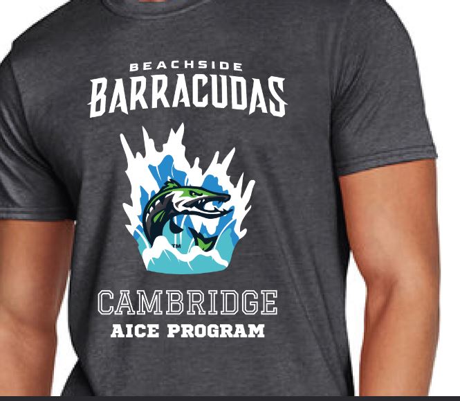 AICE – Beachside High School